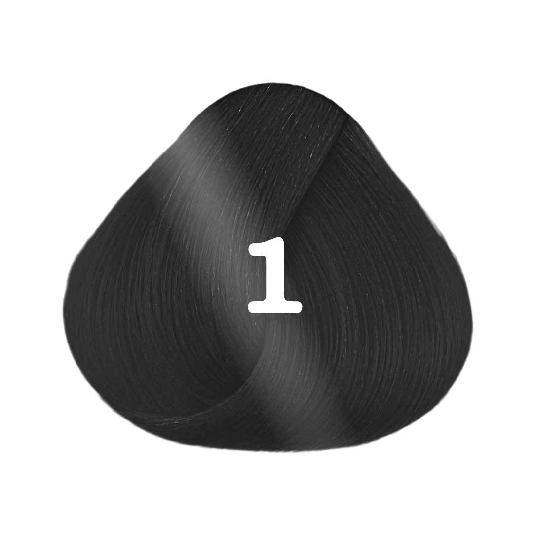 Loreal Inoa 1 Fundamental Black 60g – Wholesale Hair Colour Supplies