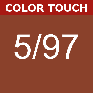 Wella Color Touch 5/97 Light Cendre Brunette Brown – Wholesale Hair ...